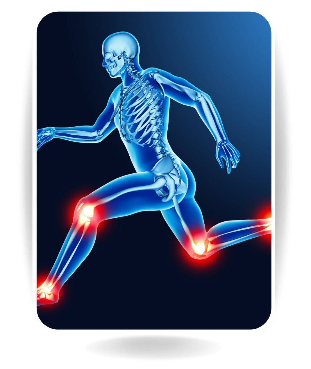 Articulations – Tagged "articulations"– Pure Lab Nutrition